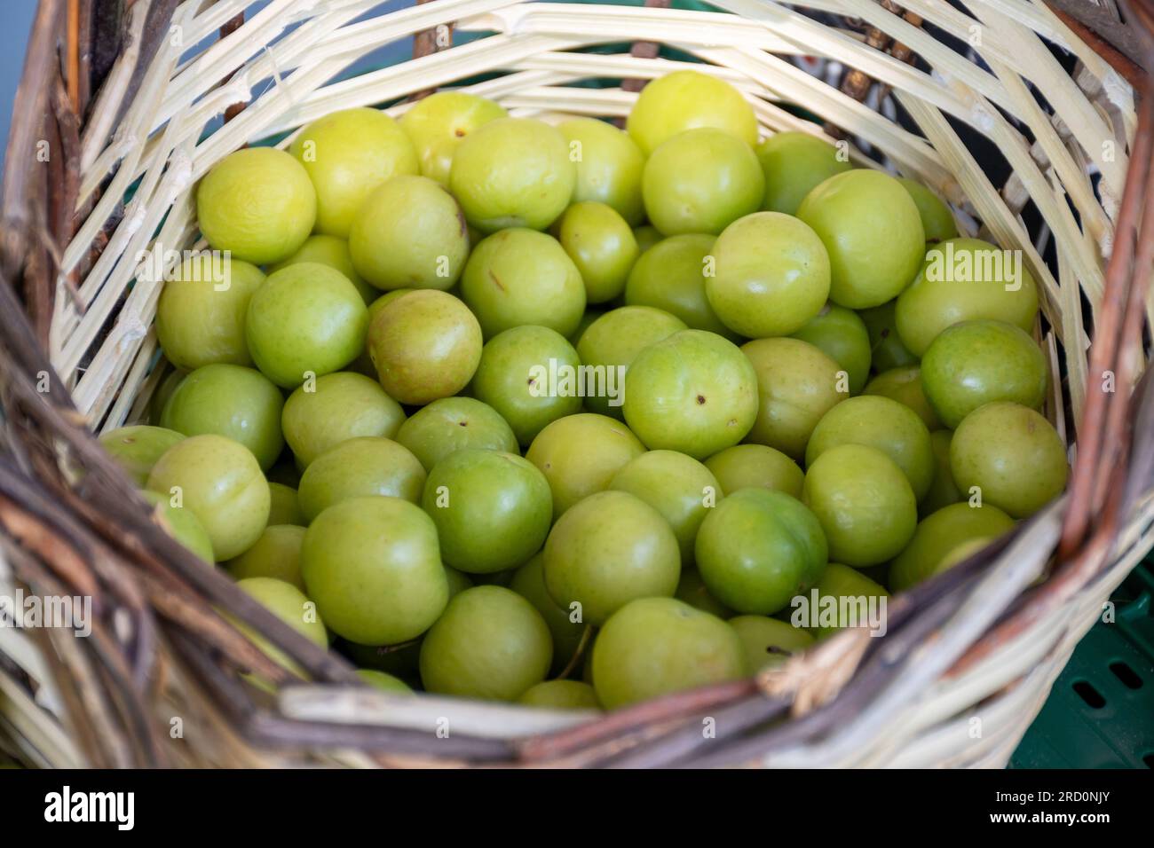 Erik Fruit Hi-res Stock Photography And Images Alamy, 54% OFF Erik Fruit Hi-res Stock Photography And Images Alamy, 54% OFF