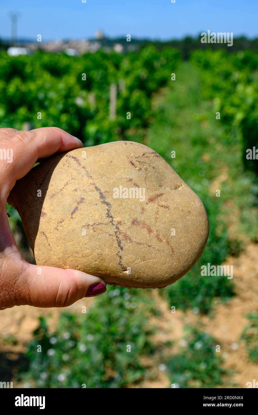Sample of galets roules, vineyards of Chateauneuf du Pape appellation ...