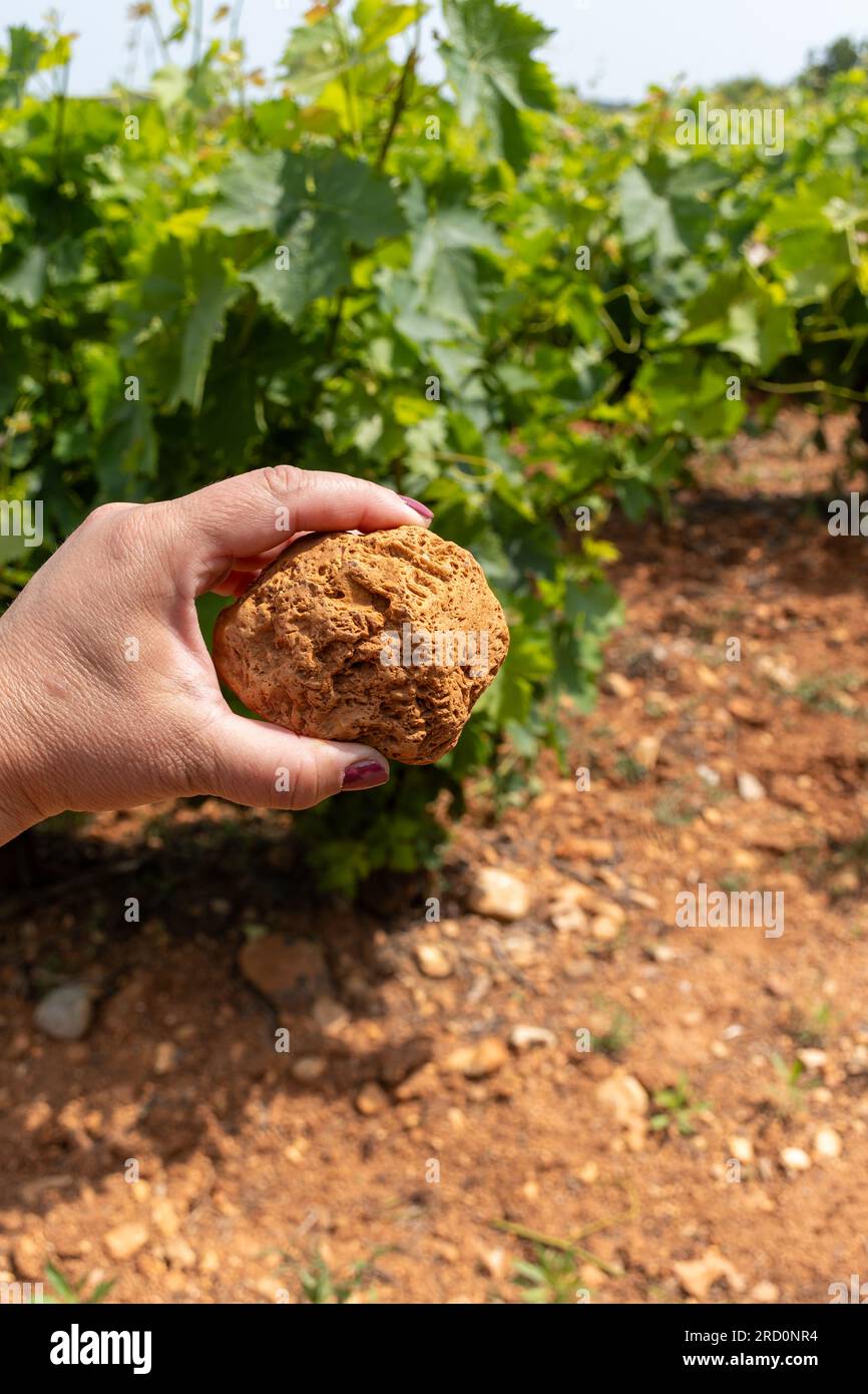 Provence mourvedre vineyards hi-res stock photography and images - Alamy