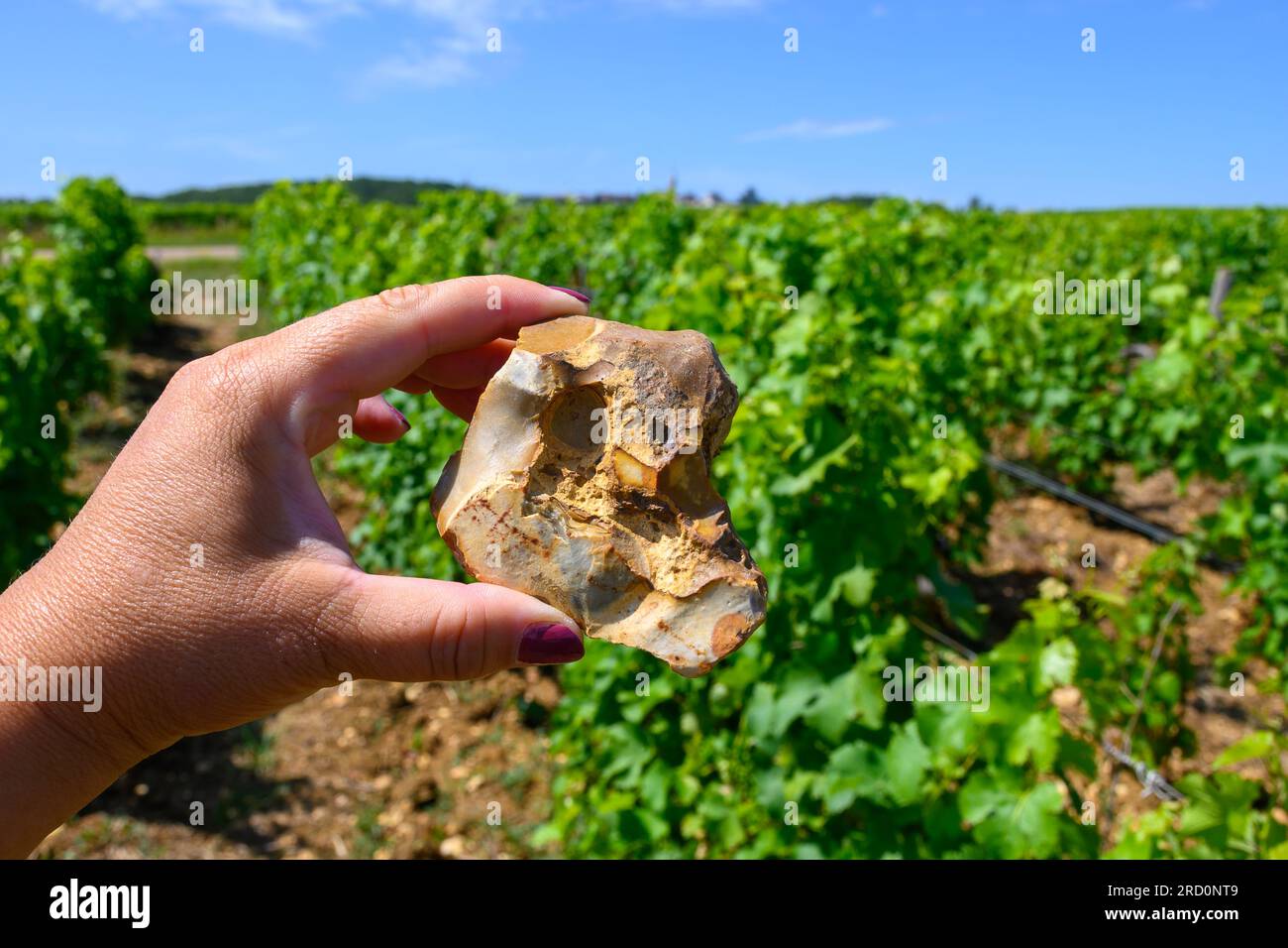 Sample of soil, flint stone, vineyards of Pouilly-Fume appellation ...