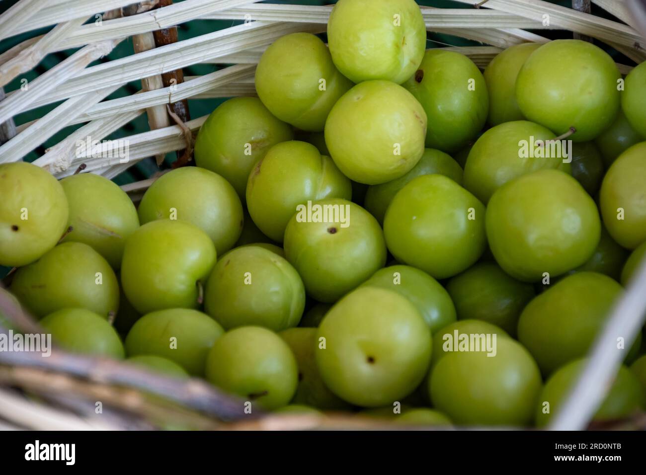 Can erik plum hi-res stock photography and images - Alamy