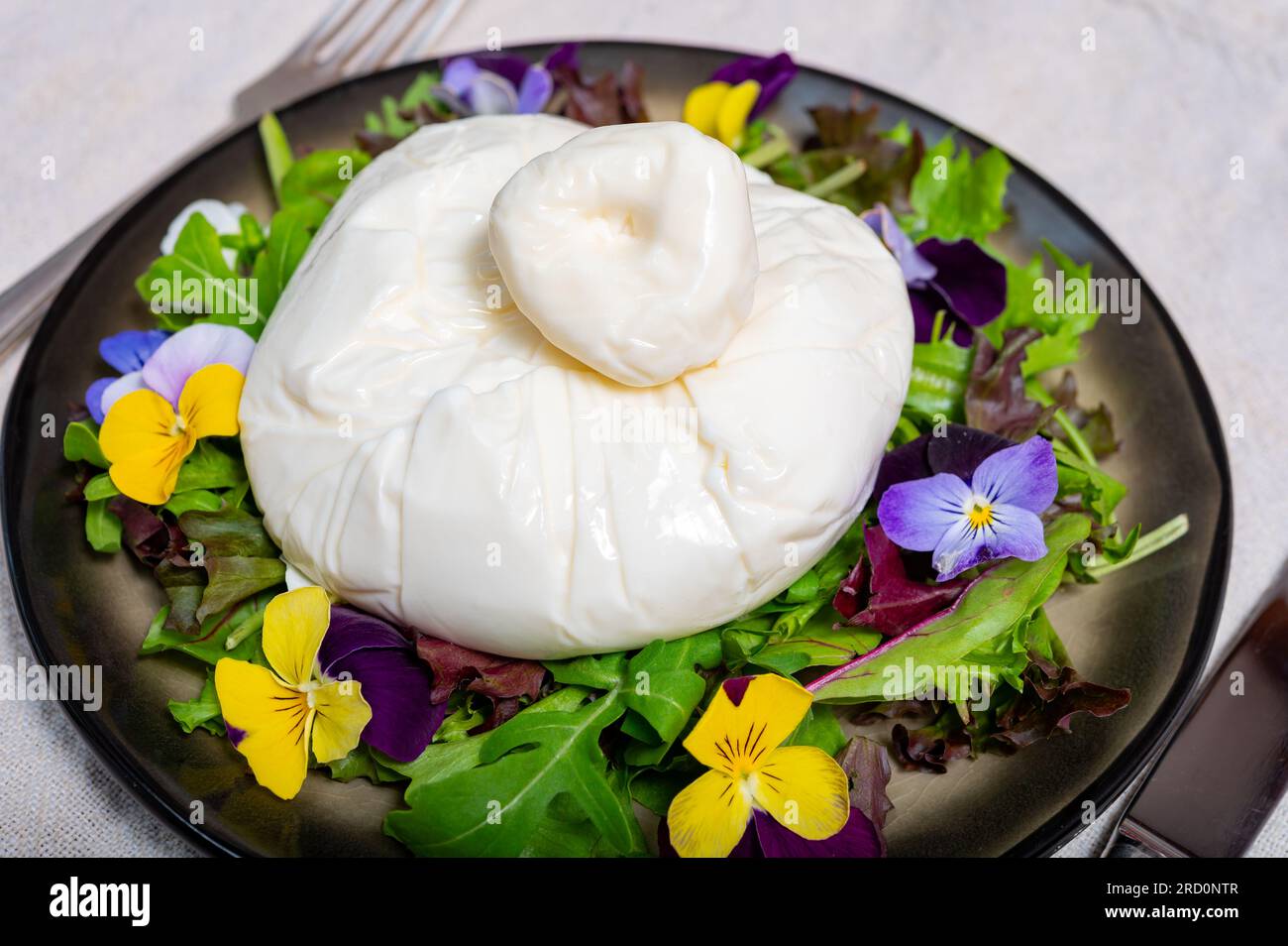 Fresh handmade soft Italian cheese from Puglia, white ball of burrata ...