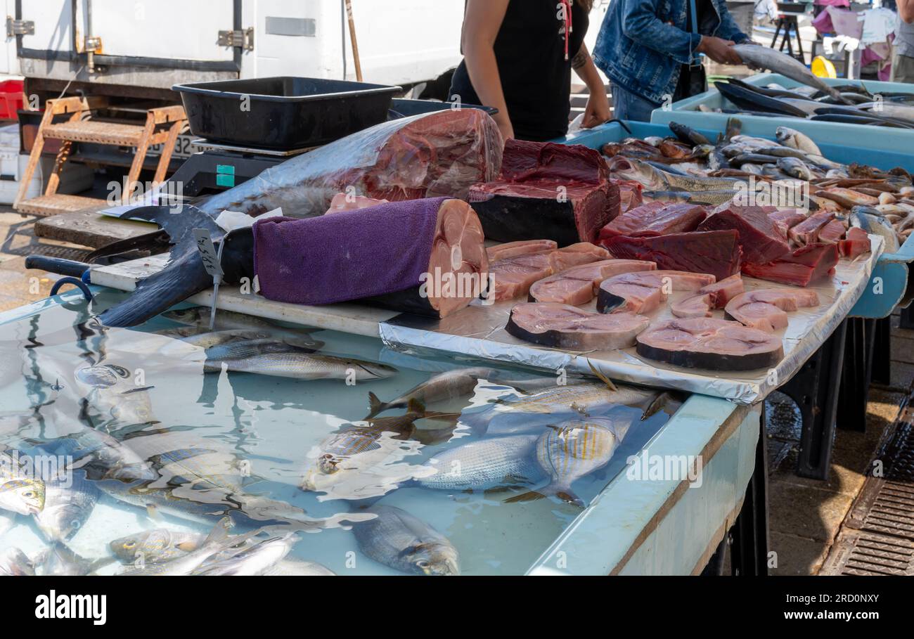 Catch of the day for sale on daily fish market in old port of Marseille ...