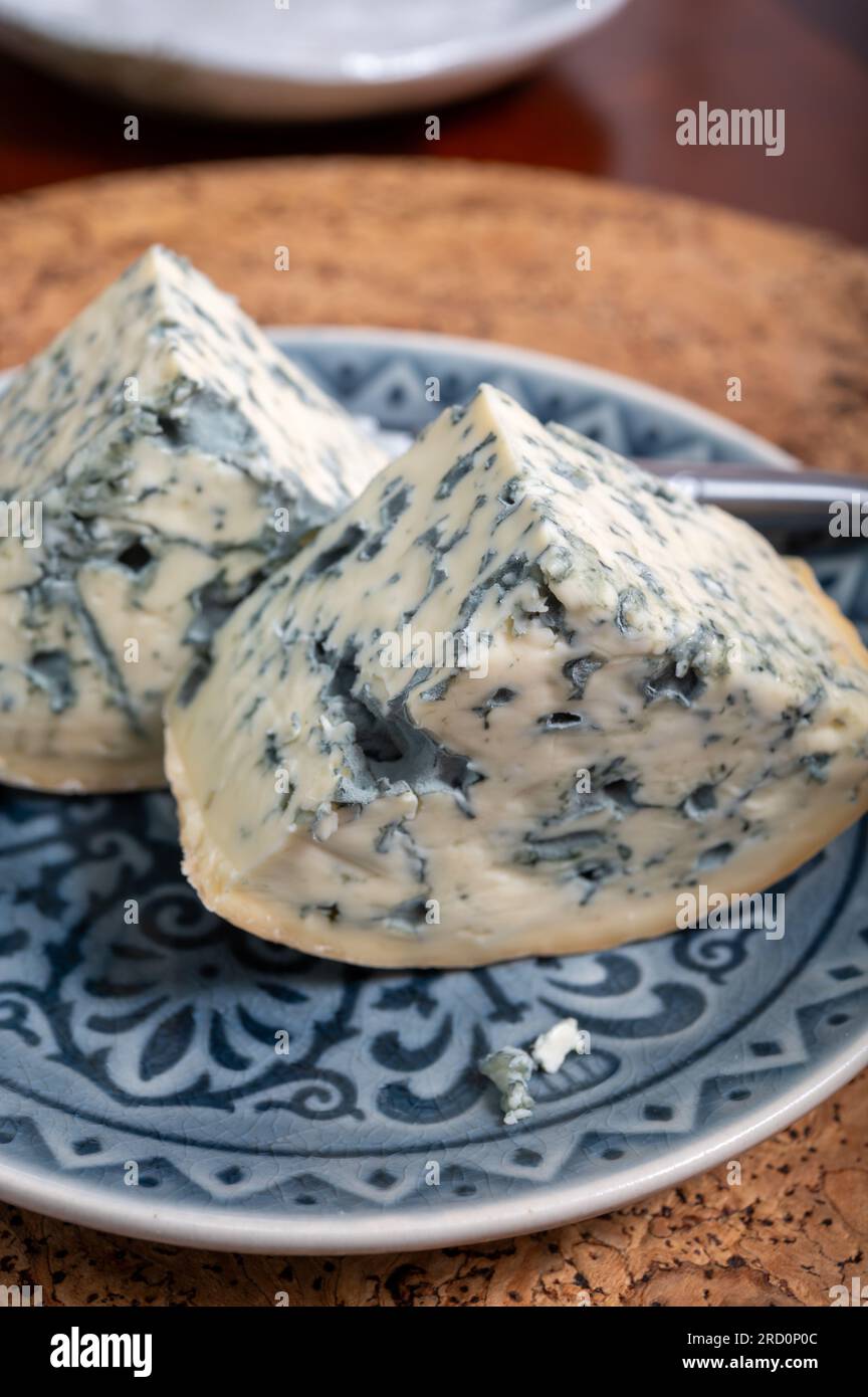 Cheese collection, piece of French blue cheese auvergne or fourme d ...