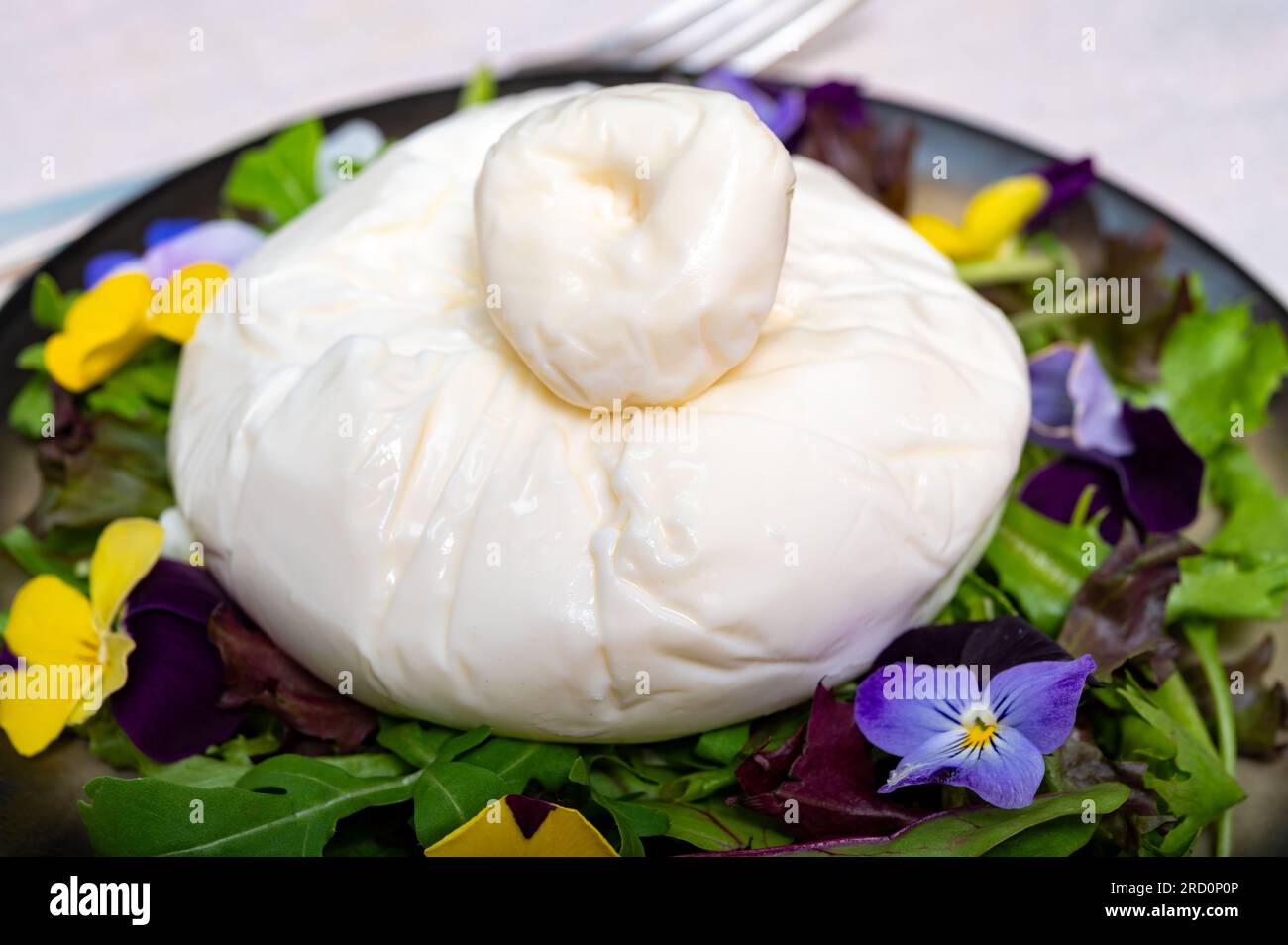 Fresh handmade soft Italian cheese from Puglia, white ball of burrata ...