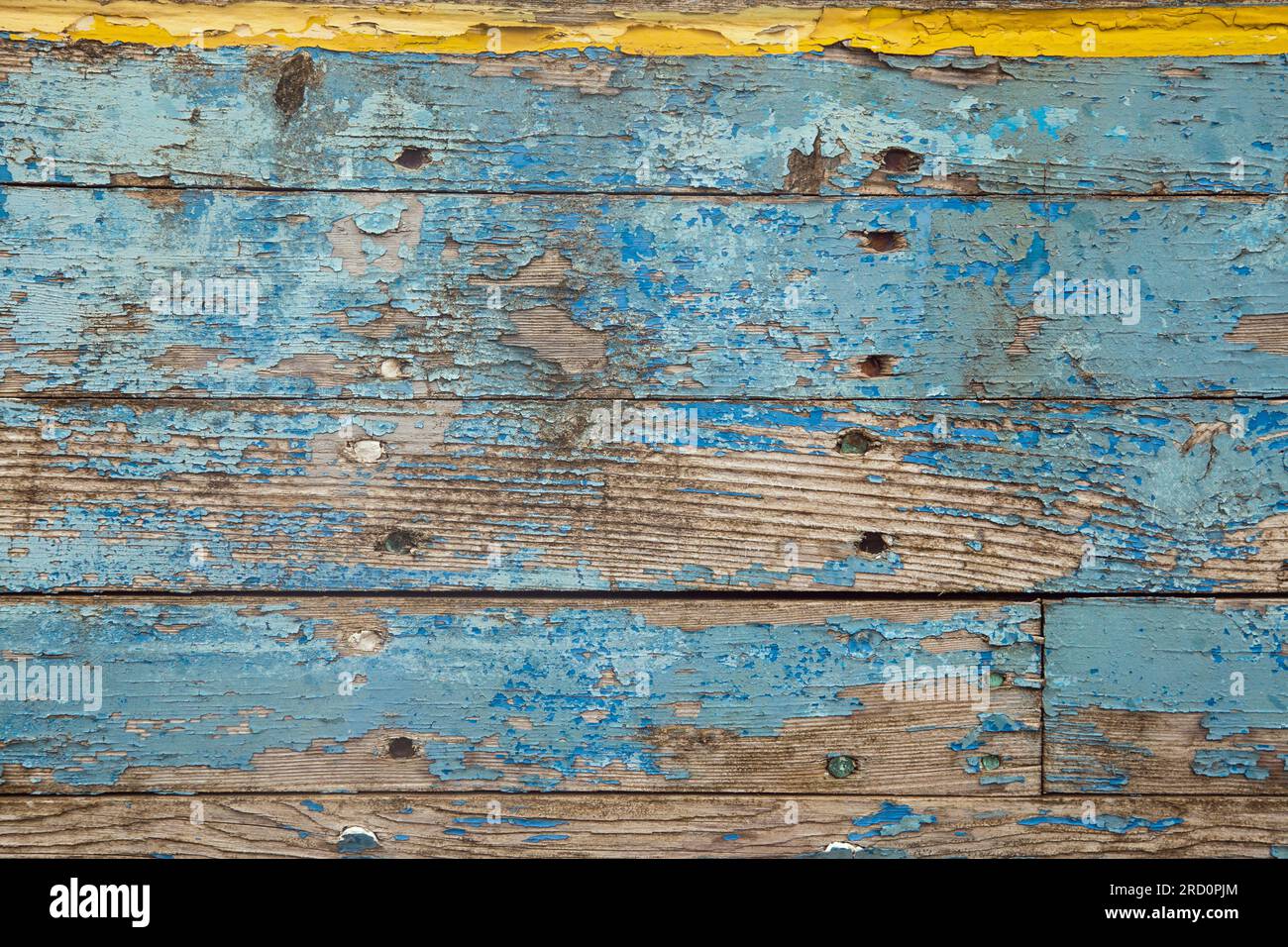 Very distressed flaking blue paint on the timber of a boat shot close ...