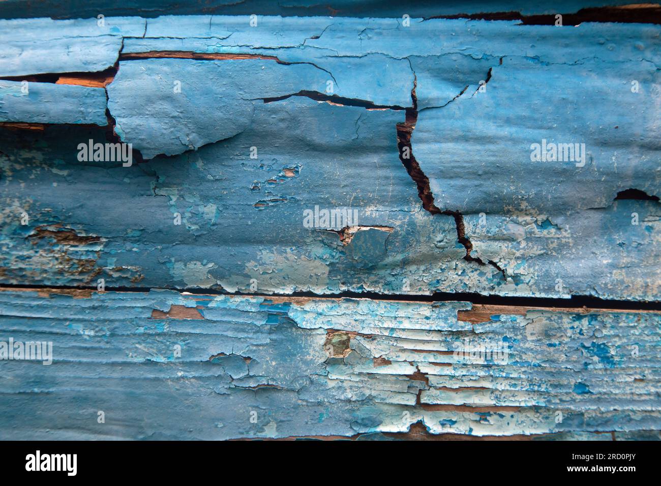 Very distressed flaking blue paint on the timber of a boat shot close ...