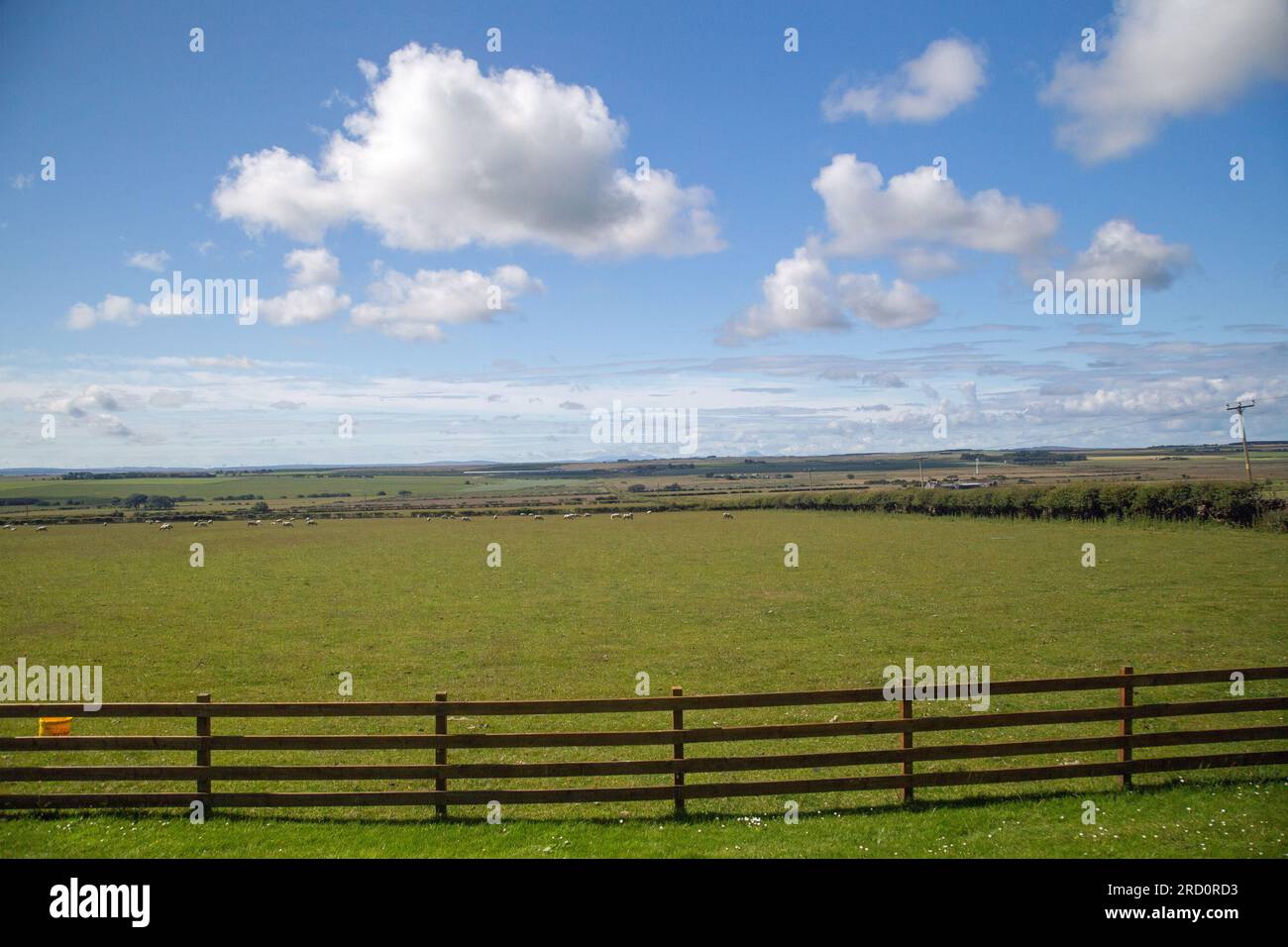 Rural landscape scene showing green farm fields, a timber fence and ...