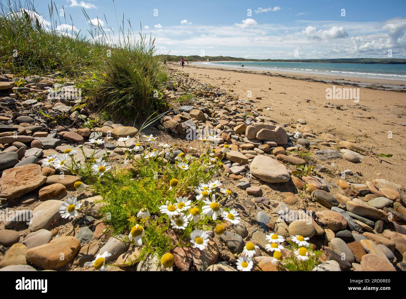 Dunnet Bay, Caithness, Scotland, July 2023, Scenic shots of the beach ...
