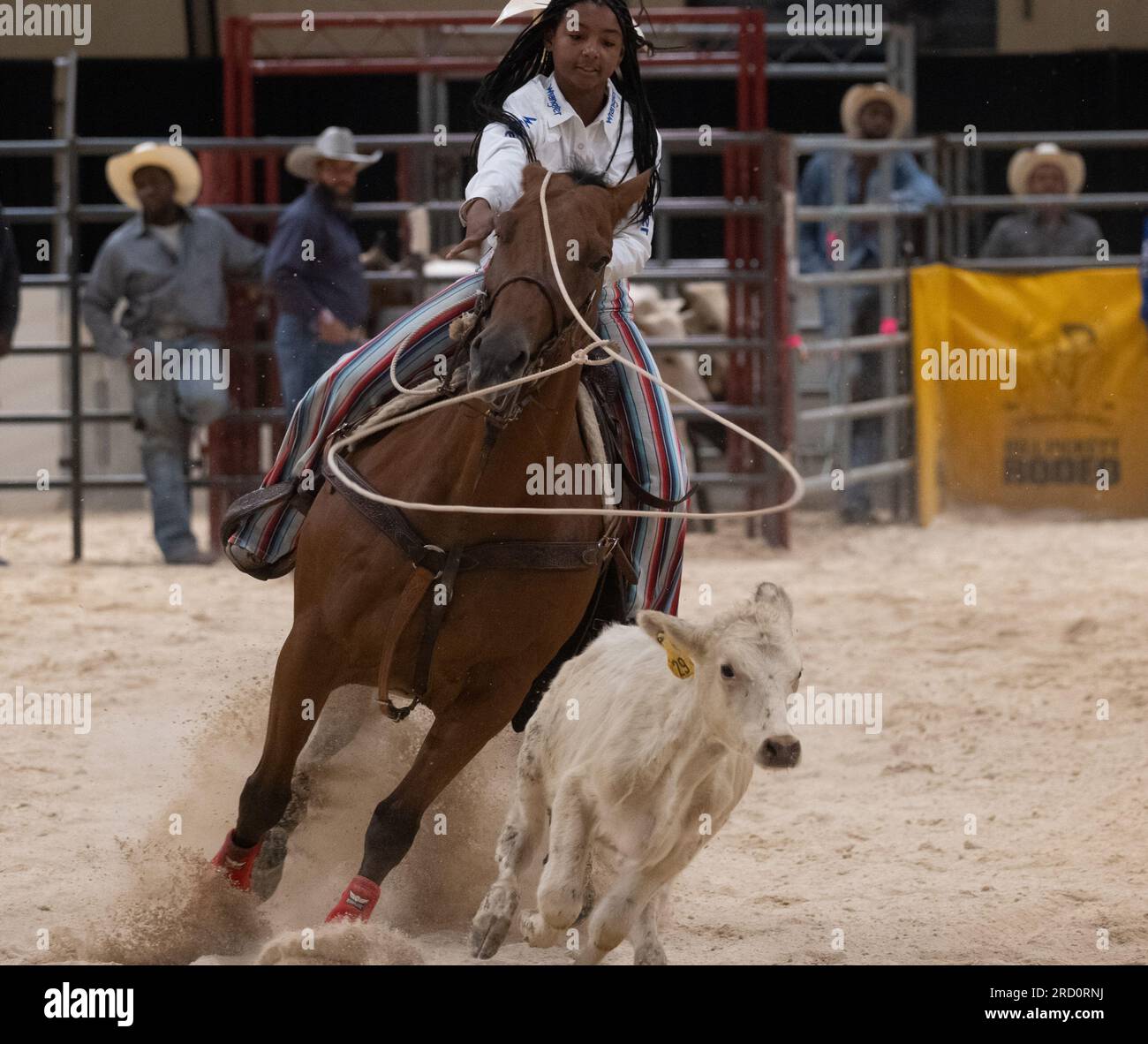 Bill pickett rodeo hi-res stock photography and images - Alamy
