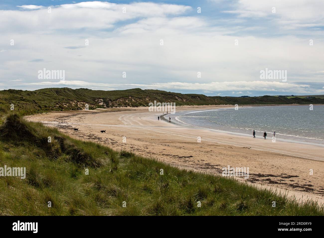 Surf shots hi-res stock photography and images - Alamy