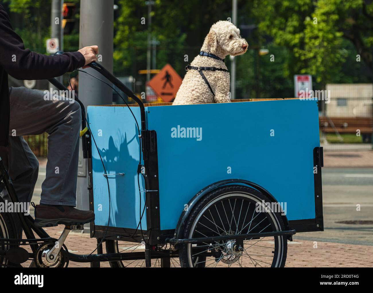 Cargo cycle hi-res stock photography and images - Alamy