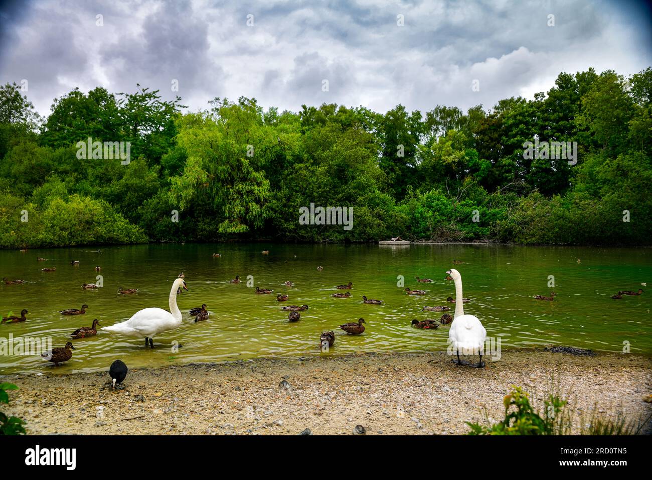 Unseen nature hi-res stock photography and images - Alamy