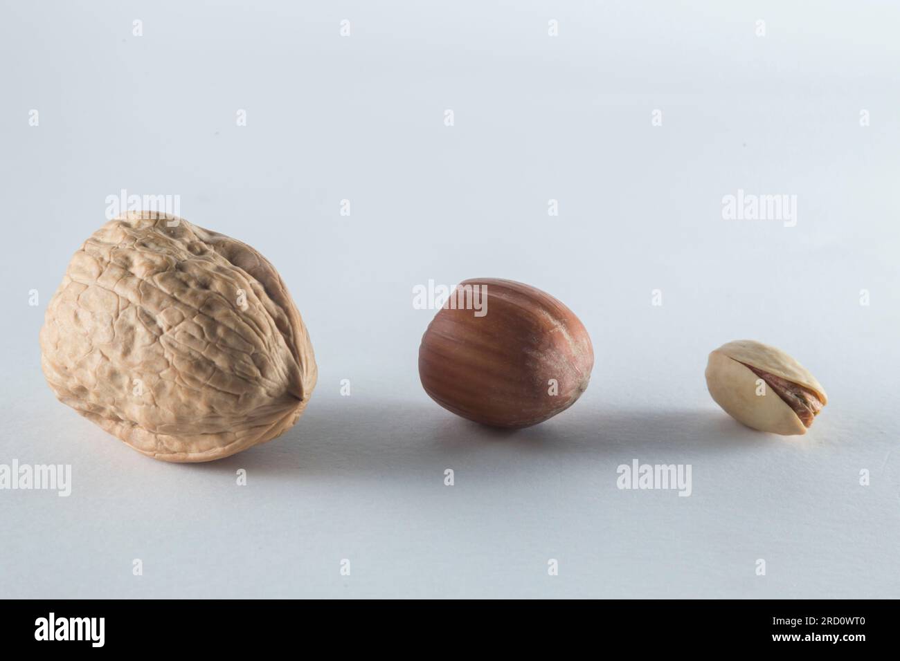 three different nuts on a white background, walnut, hazelnut and ...