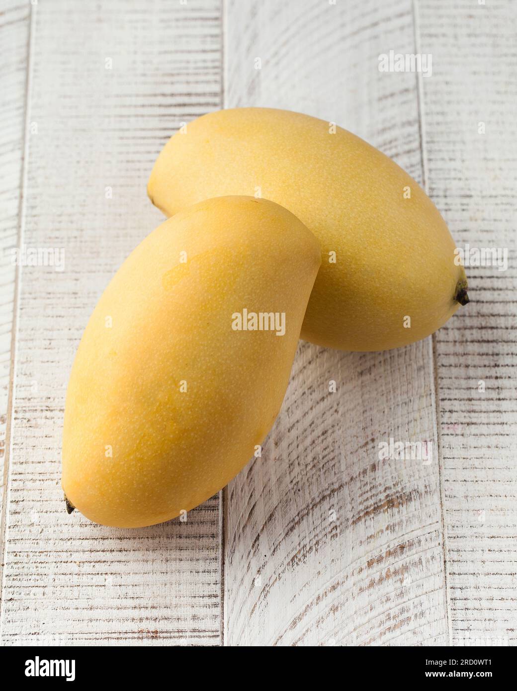 Two ripe yellow mangoes on a white wooden background. Tropical fruits ...