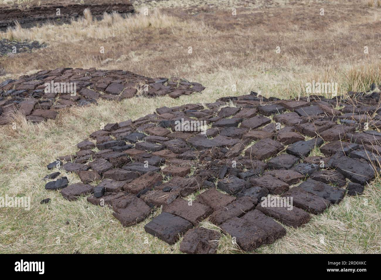 Bricks of Peat laid out on the ground so they can dry Stock Photo - Alamy