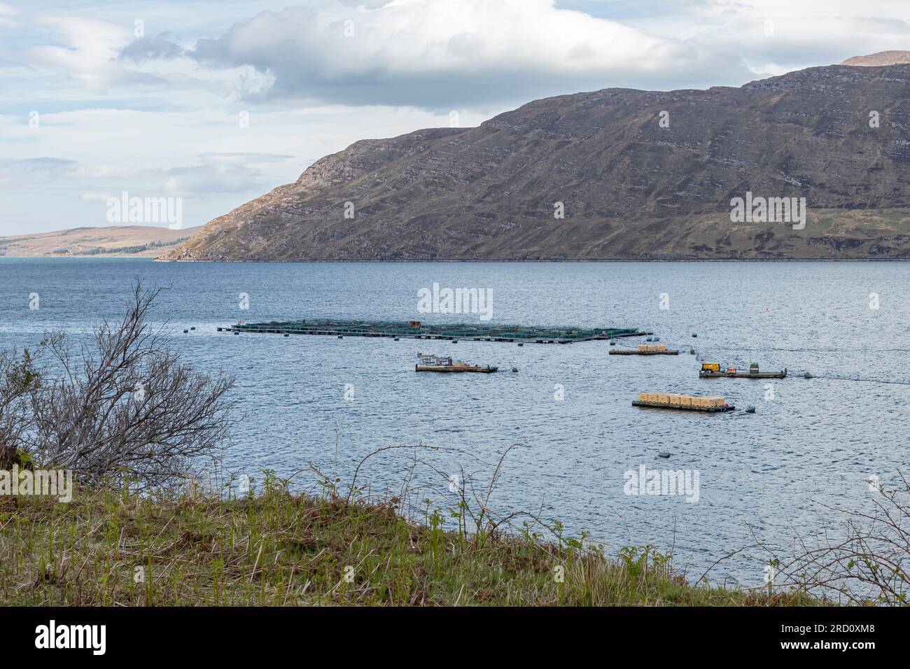 Fish farming set up in a Scottish Loch with various floating pontoons ...