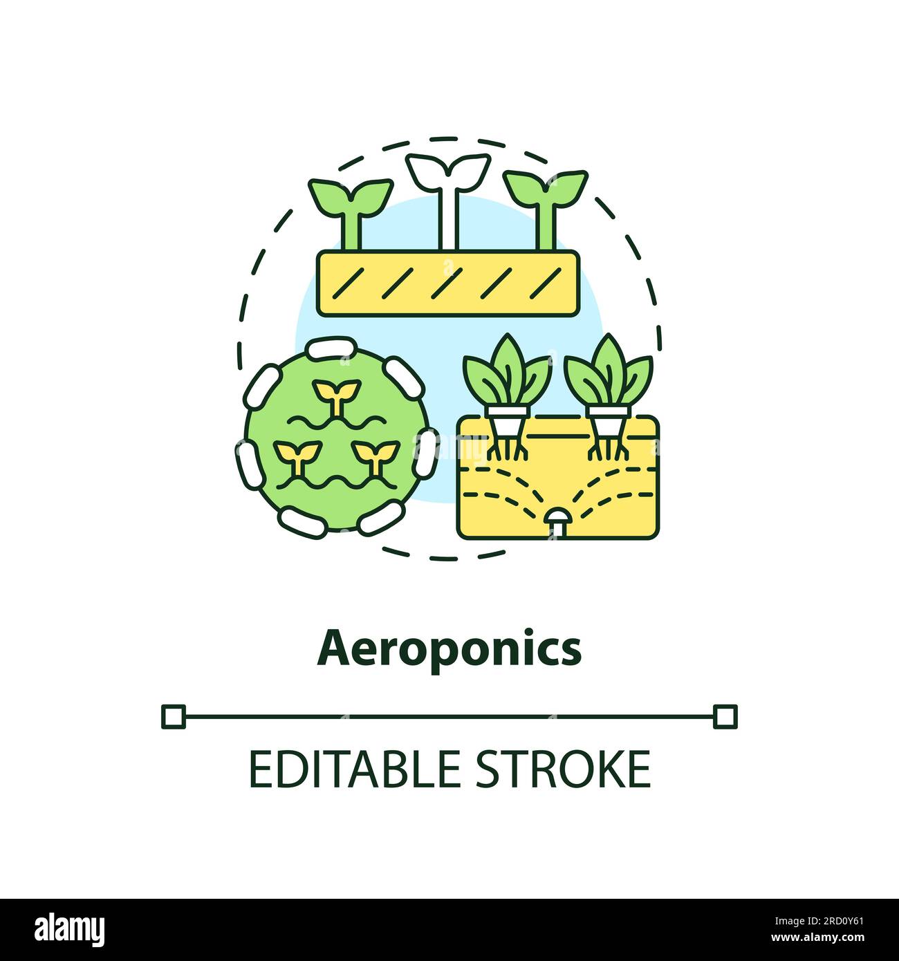 Thin line editable aeroponics icon concept Stock Vector Image & Art - Alamy