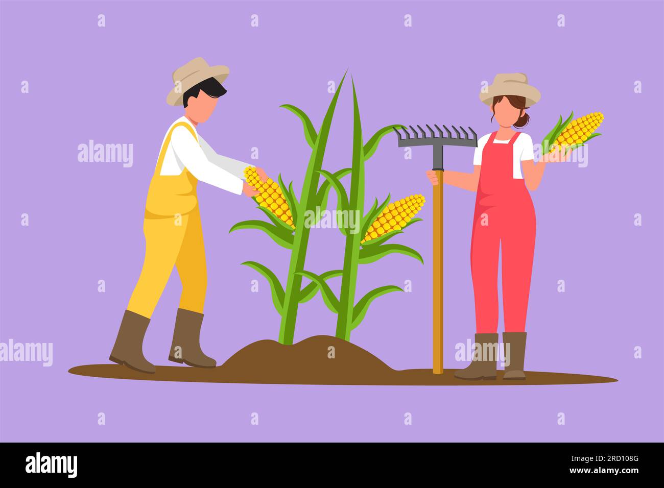 Cartoon flat style drawing young couple farmers picking corn on the ...