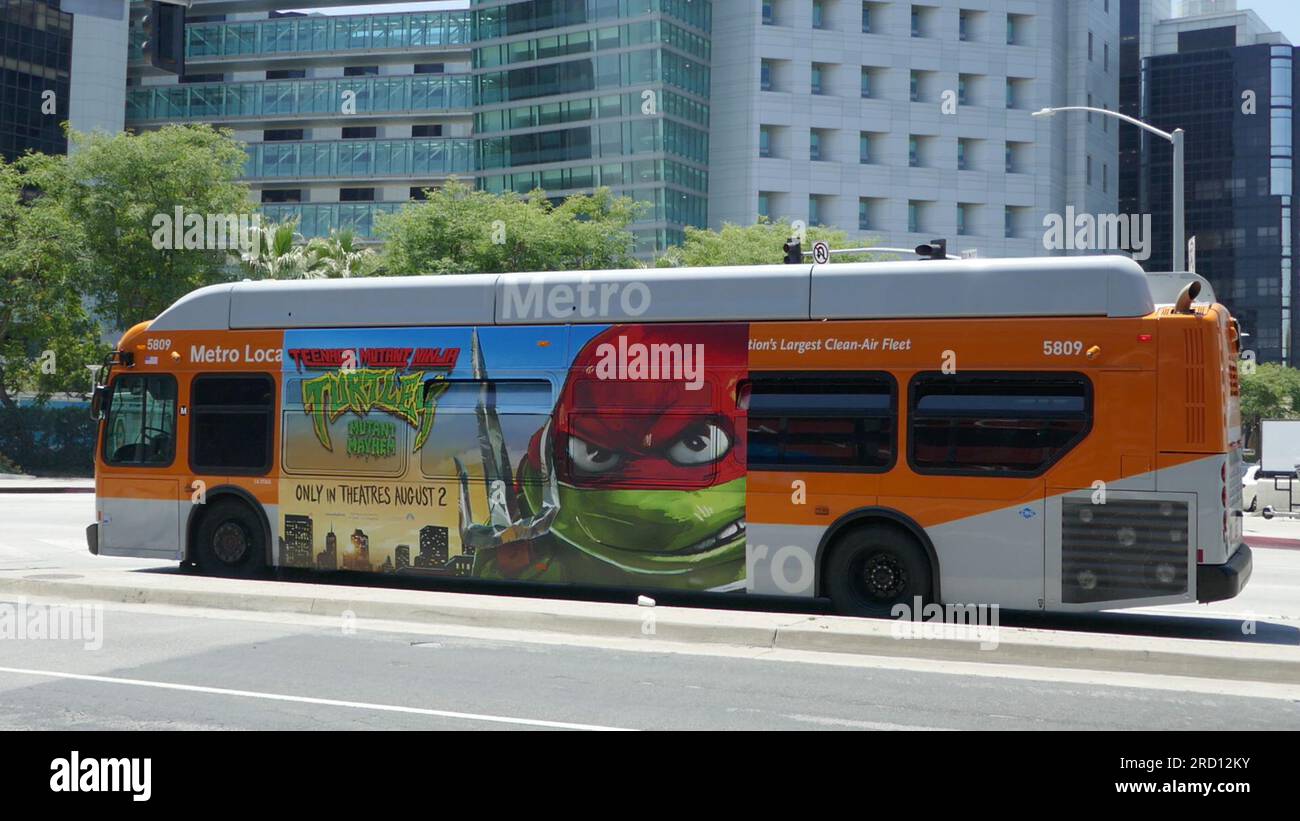 Busteenage mutant ninja turtles hi-res stock photography and images - Alamy