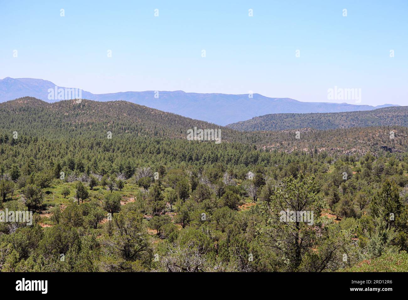 Photograph with mountains and greenery hi-res stock photography and ...