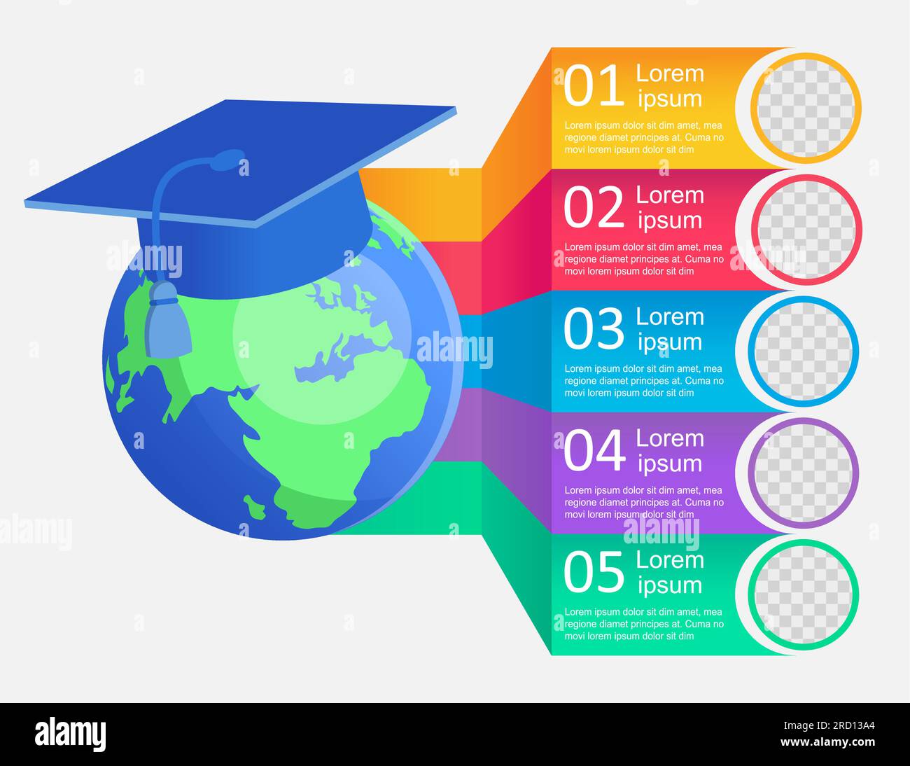 International education infographic chart design template Stock Vector ...