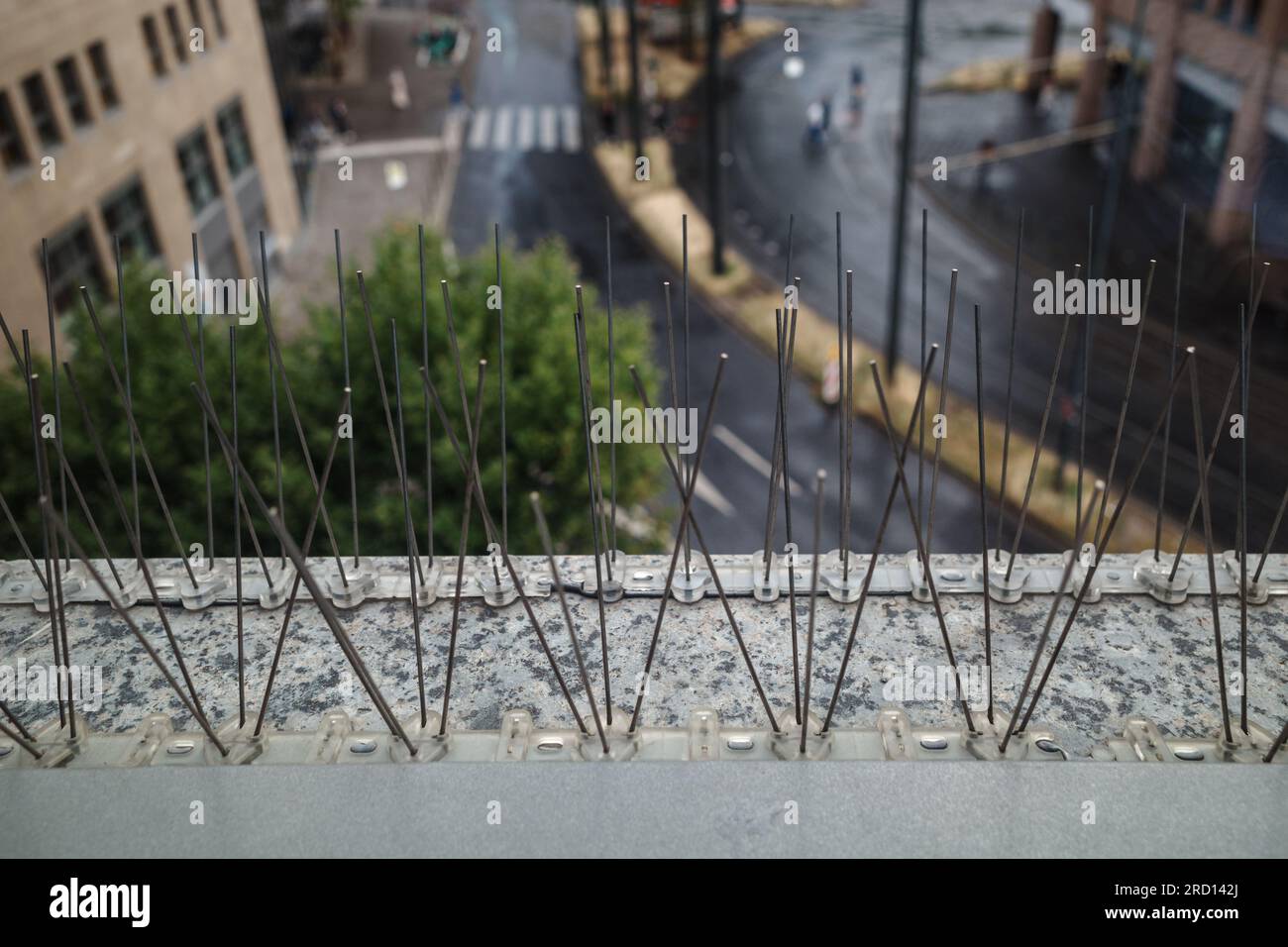 Selective focus and close up detail of Gutter Spikes for Birds, protect ...
