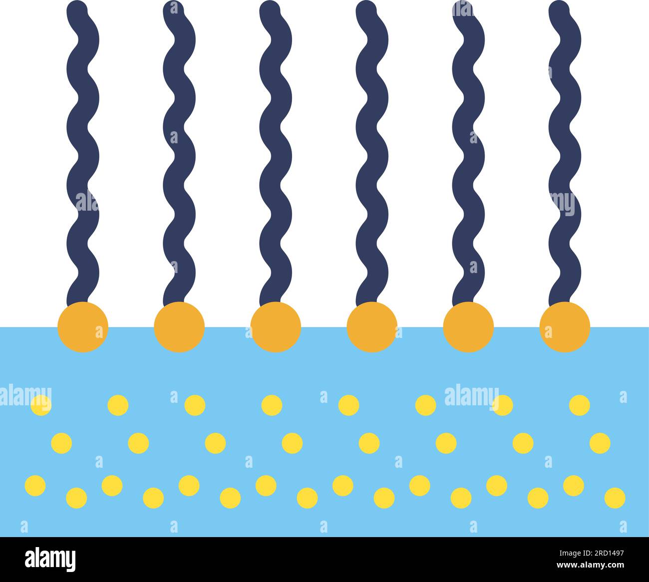 Monolayer Stock Vector Images - Alamy