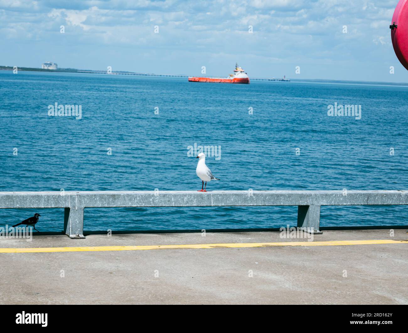 A seagull with red feet sits on a steal beam at the wharf as a distant ...