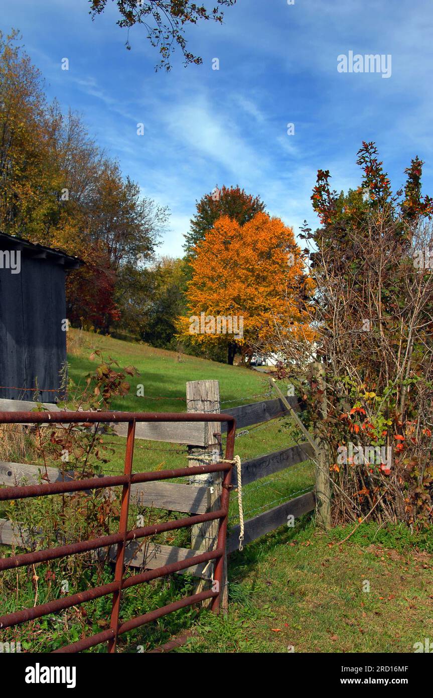 Farm pasture metal fence gate hi-res stock photography and images - Alamy