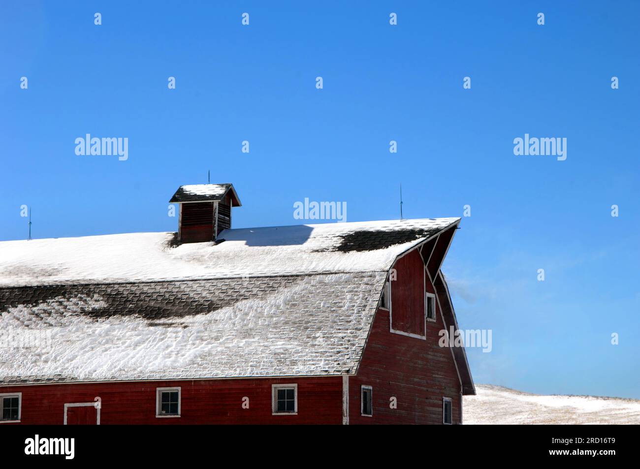 Background image shows old, red, wooden barn in corner. Rest of photo ...