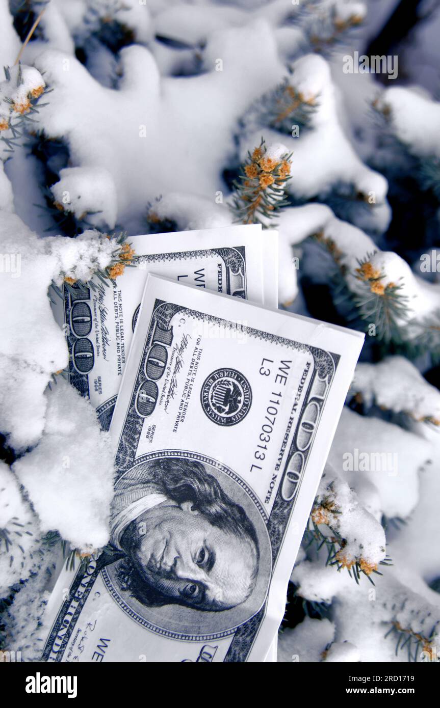 Play money lays half buried in the snow. Image could represent "cold ...