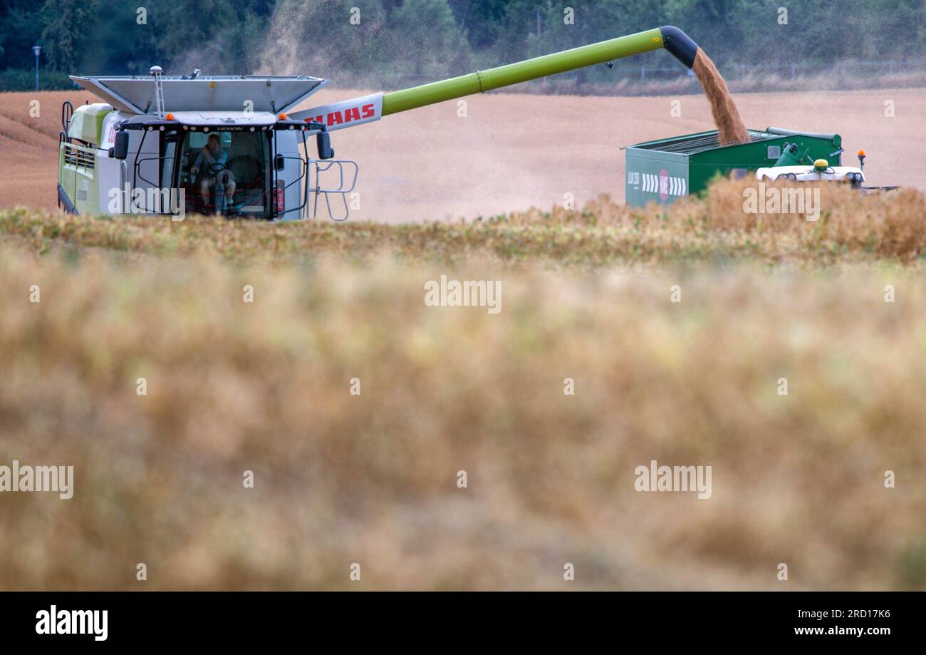 Affect on yield hi-res stock photography and images - Alamy