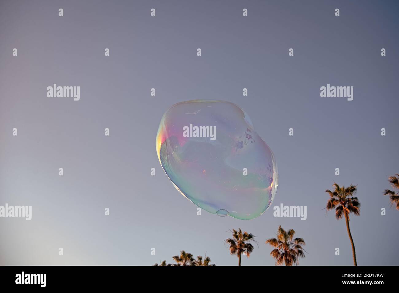 bubble sphere in sky with palm trees. transparent bubble sphere in sky ...