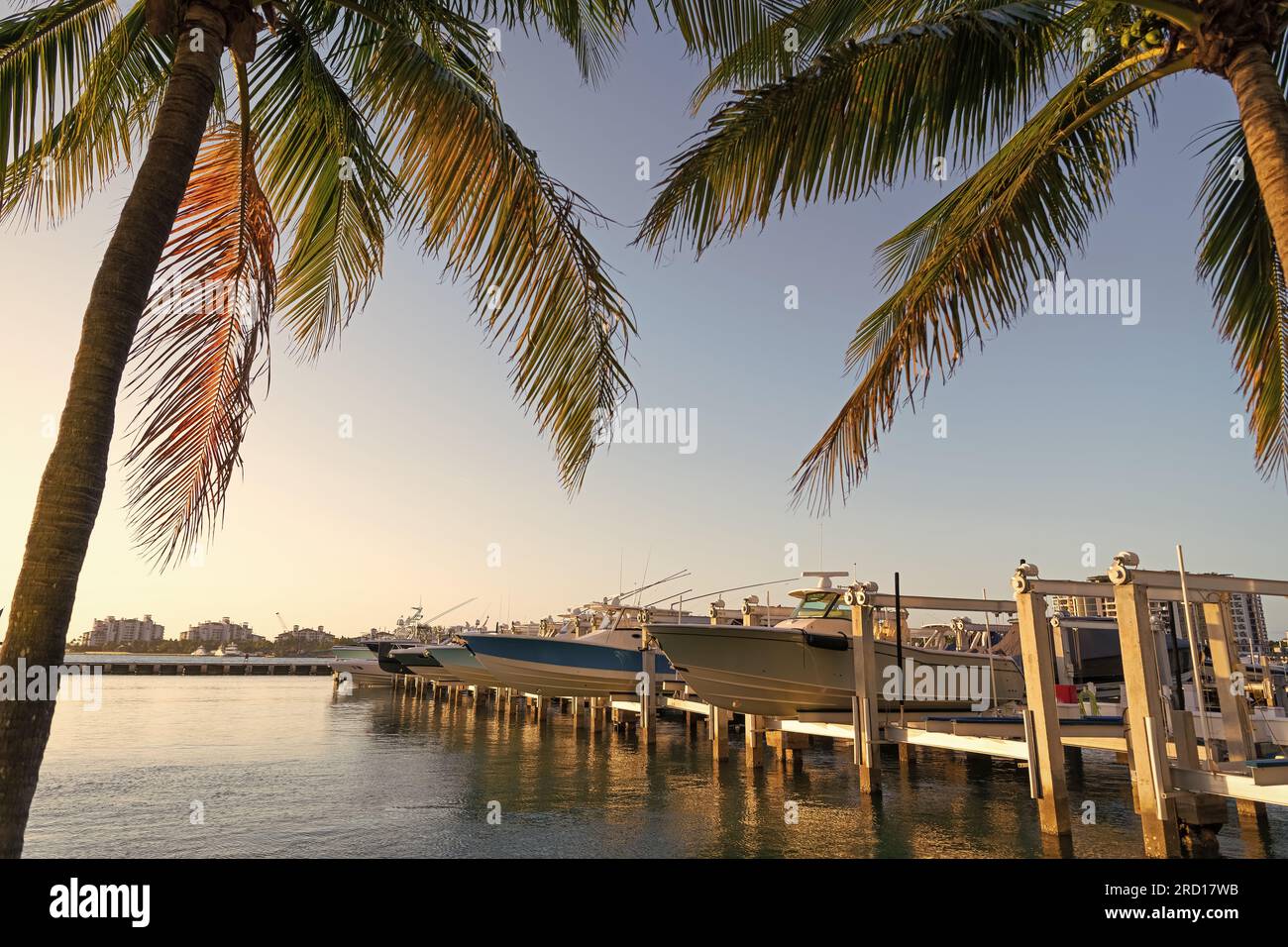 yacht boat in port with palm trees. luxury yacht boat for traveling ...