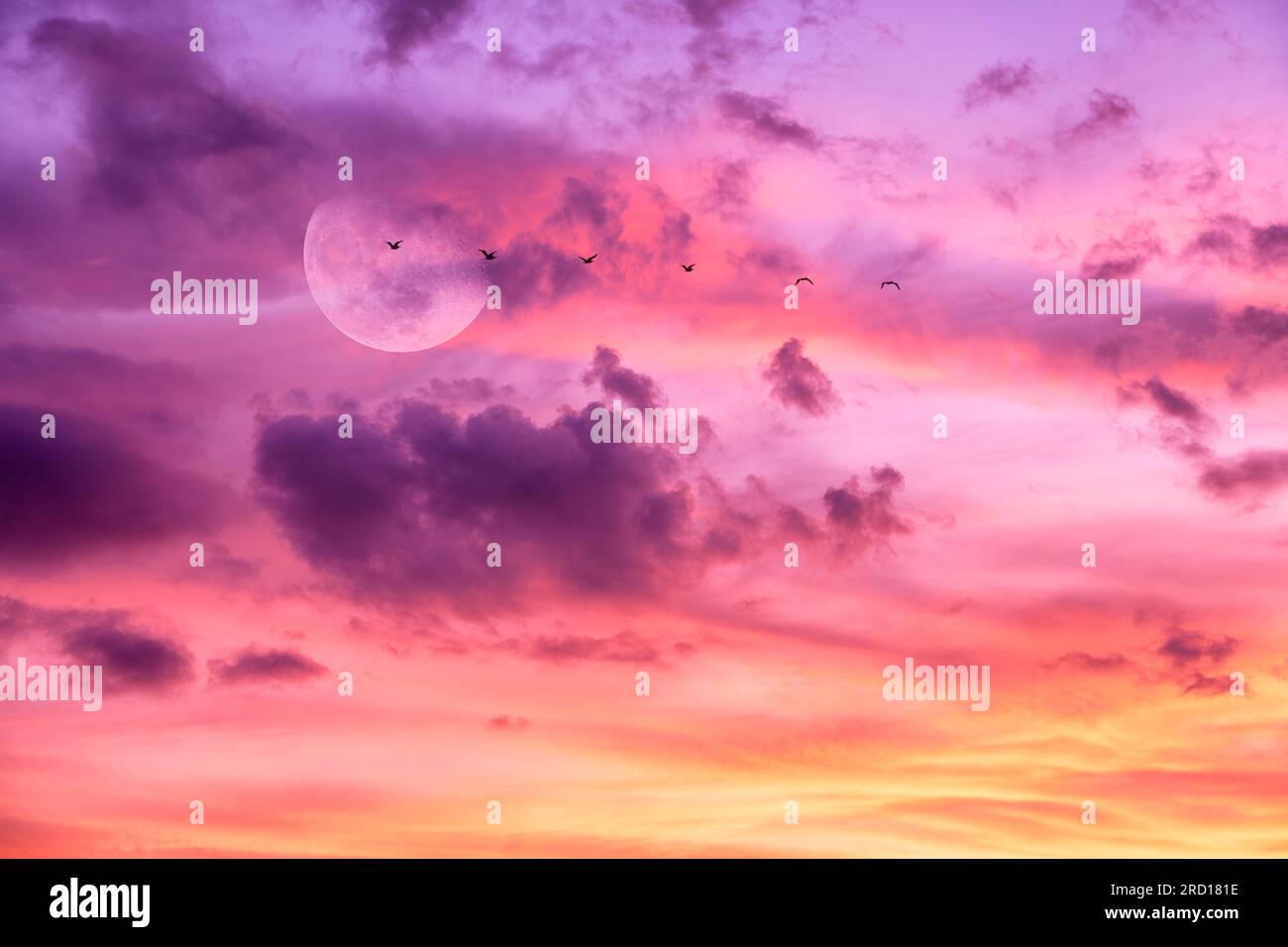 Moon full high resolution hi-res stock photography and images - Alamy