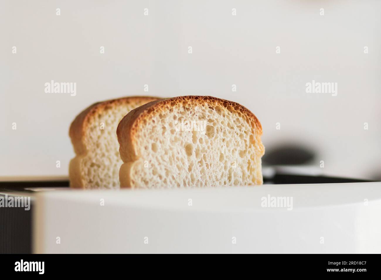 Sliced fresh bread inserted into a white toaster, selective soft focus ...