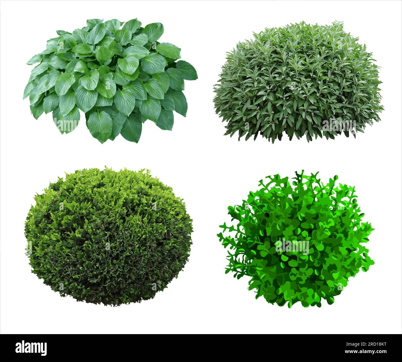 Artificial plants Stock Vector Images - Alamy