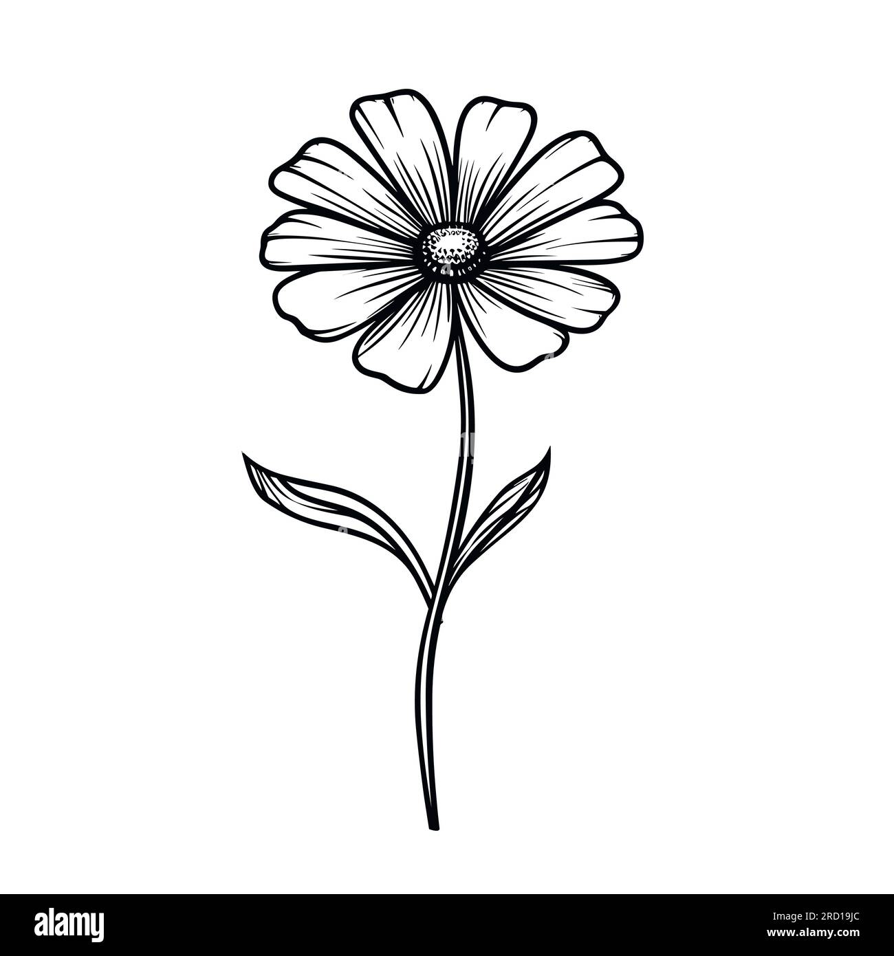 Minimal drawn floral botanical line art. Bouquets. Trendy elements of ...