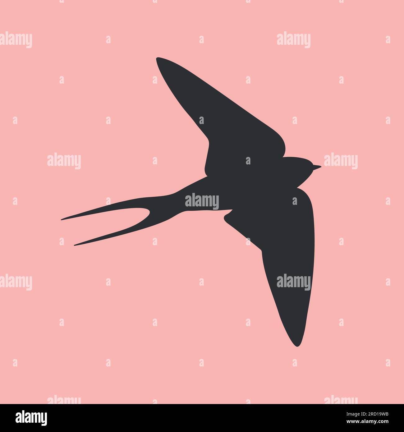 Flying Martin bird silhouette on pink background. Vector illustration ...