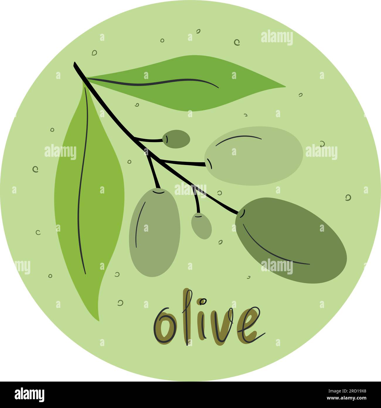 Olive branch in round shape isolated on white background. Vector ...