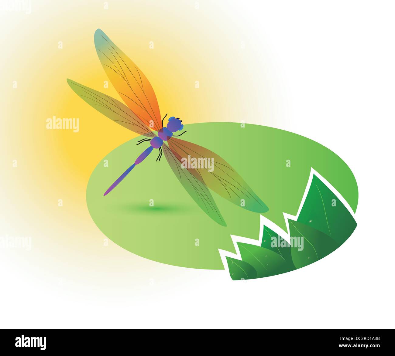 Dragonfly with a green background Stock Vector Images - Alamy
