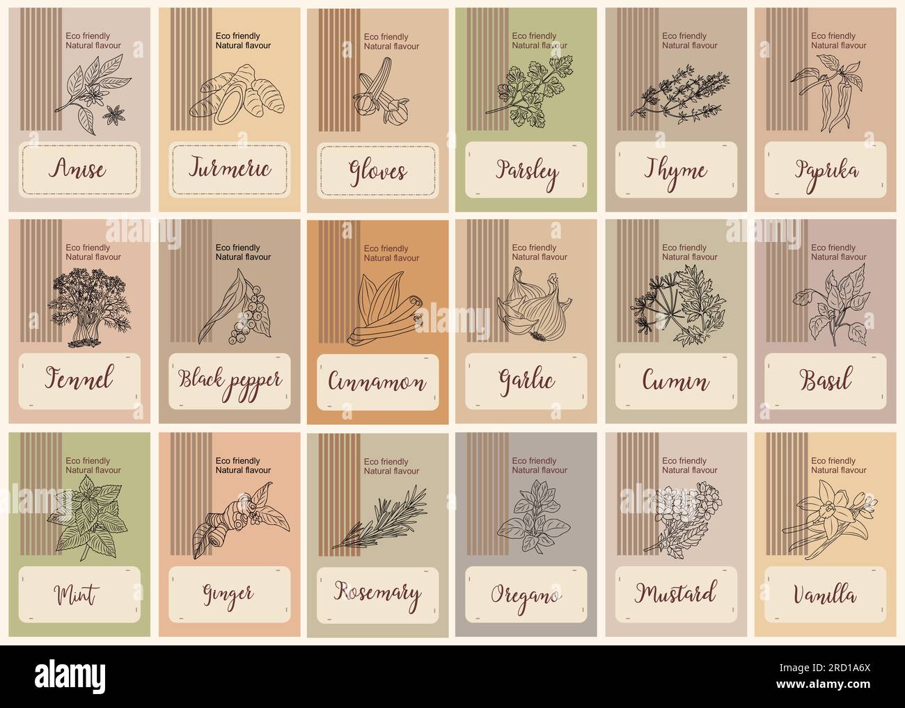 Spice packaging design hand drawn botanical herbs Stock Vector Image ...