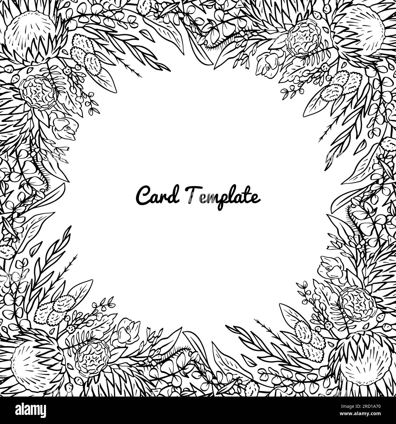 Hand Drawn Monochrome Line Art Protea Flower Tropical Square Frame