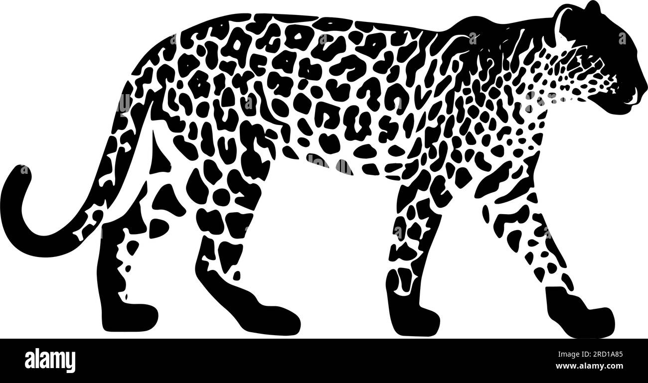 Jaguar silhouette isolated on white background. Vector illustration ...