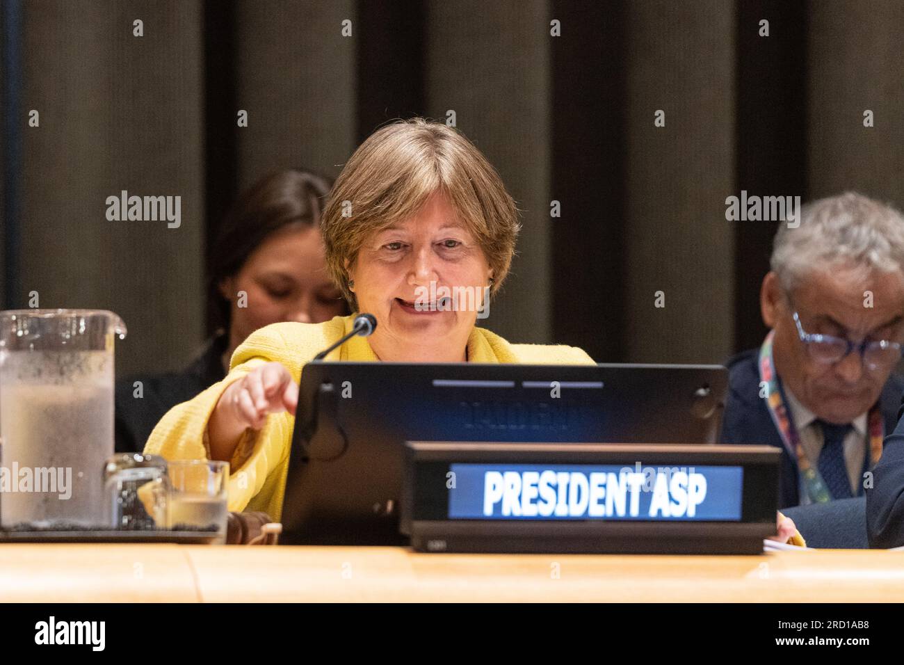 President of ASP to the Rome Statue of ICC Silvia Fernandez de Gurmendi ...