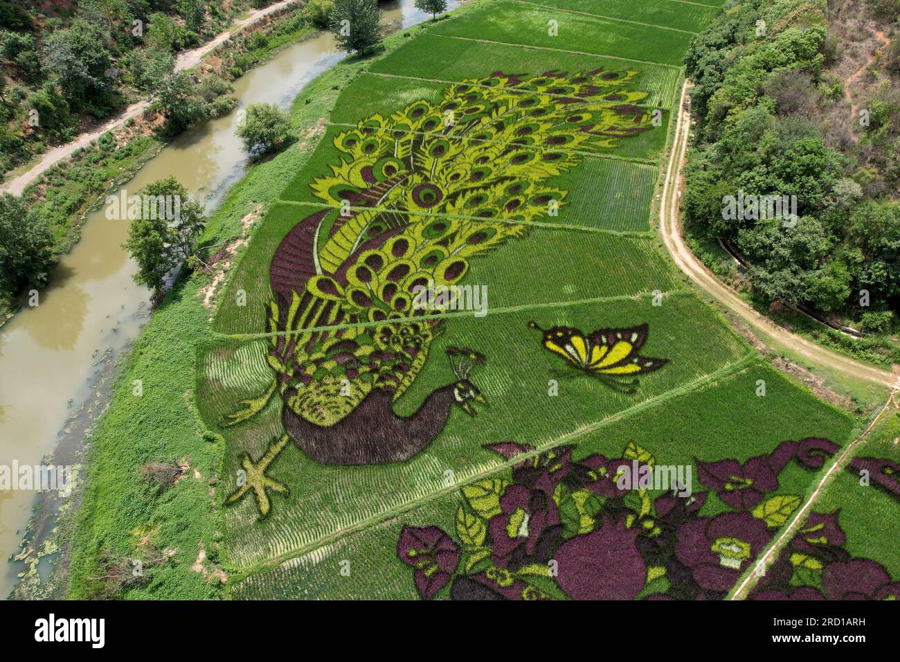 **CHINESE MAINLAND, HONG KONG, MACAU AND TAIWAN OUT** Aerial photo ...