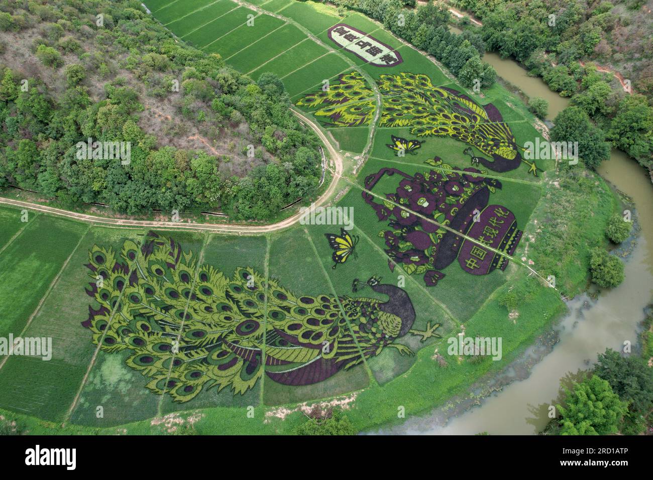 **CHINESE MAINLAND, HONG KONG, MACAU AND TAIWAN OUT** Aerial photo ...
