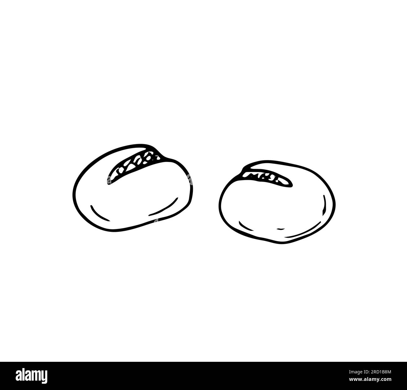 Vector hand-drawn buns on white background. Isolated illustration ...