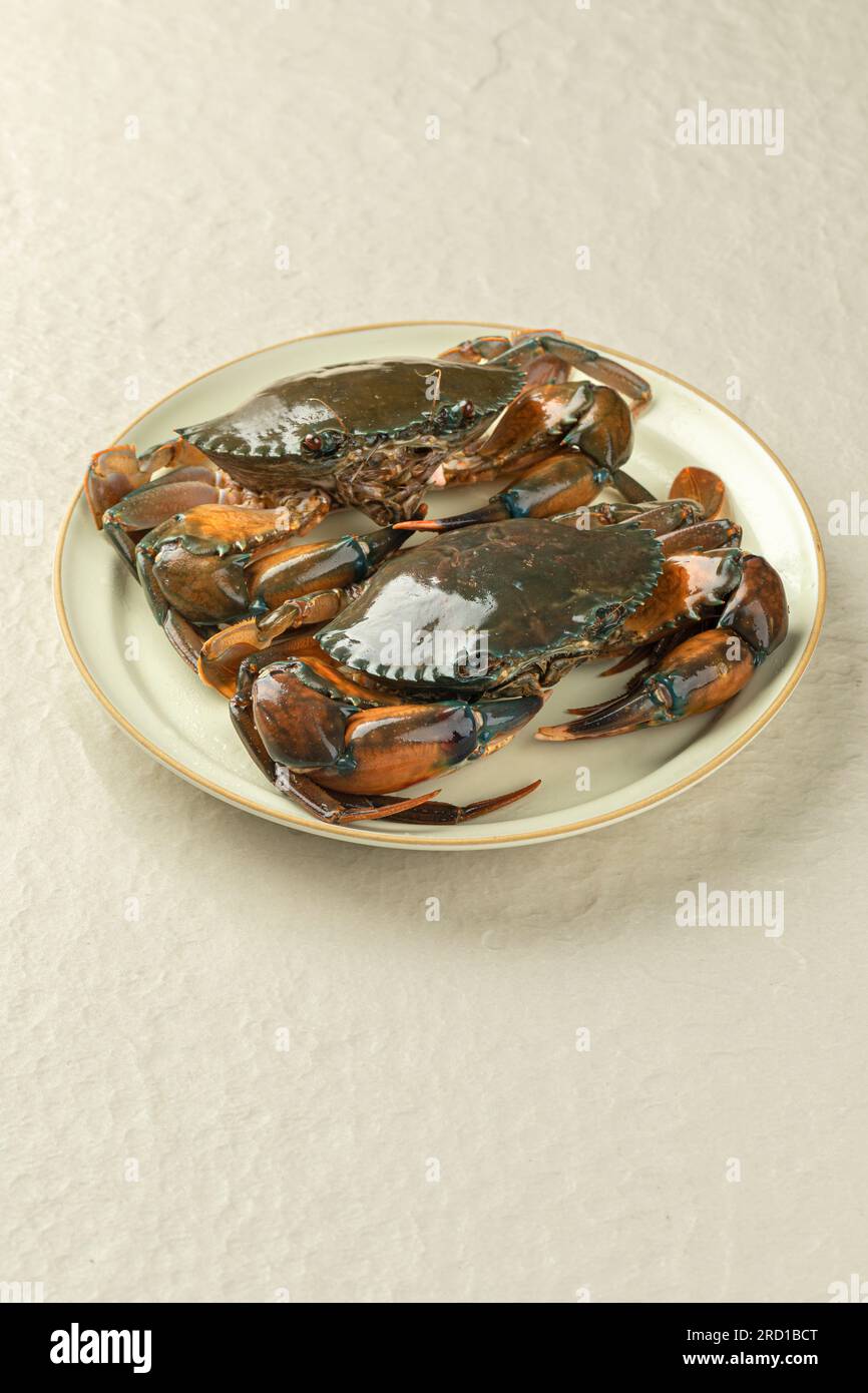 Giant Mud Crabs (Scylla serrata) also known as Black Crab, Mangrove ...